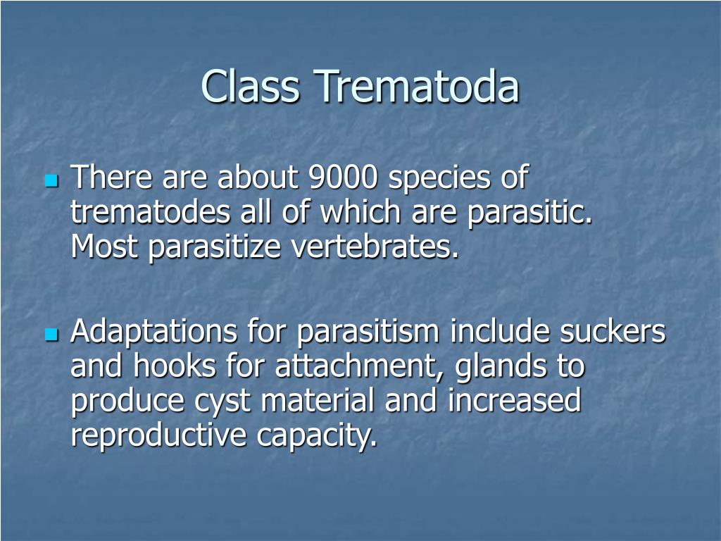 PPT - Class Trematoda PowerPoint Presentation, free download - ID:216379