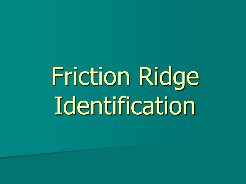 PPT - Friction Ridge Identification PowerPoint Presentation, free ...