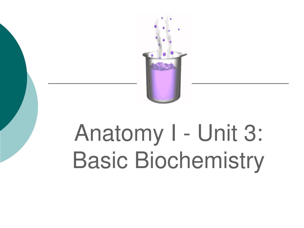 PPT - Anatomy I - Unit 3: Basic Biochemistry PowerPoint Presentation ...