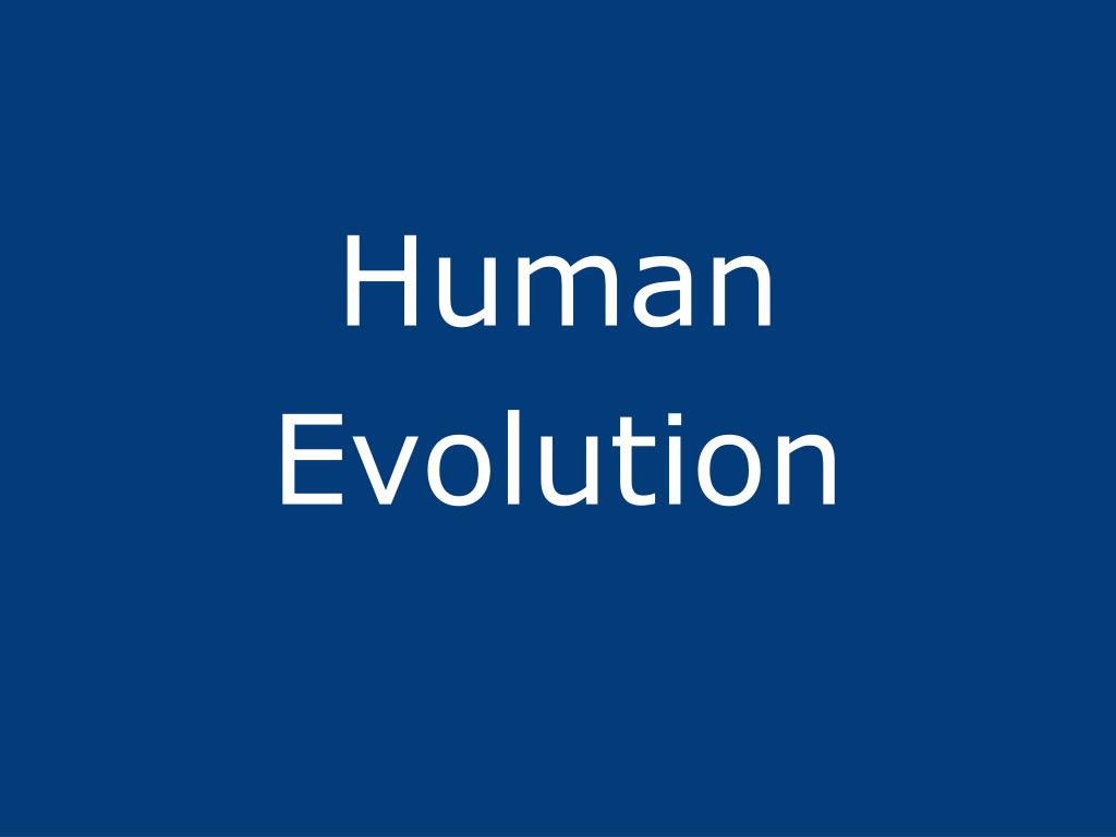 PPT - Human Evolution PowerPoint Presentation, free download - ID:217487