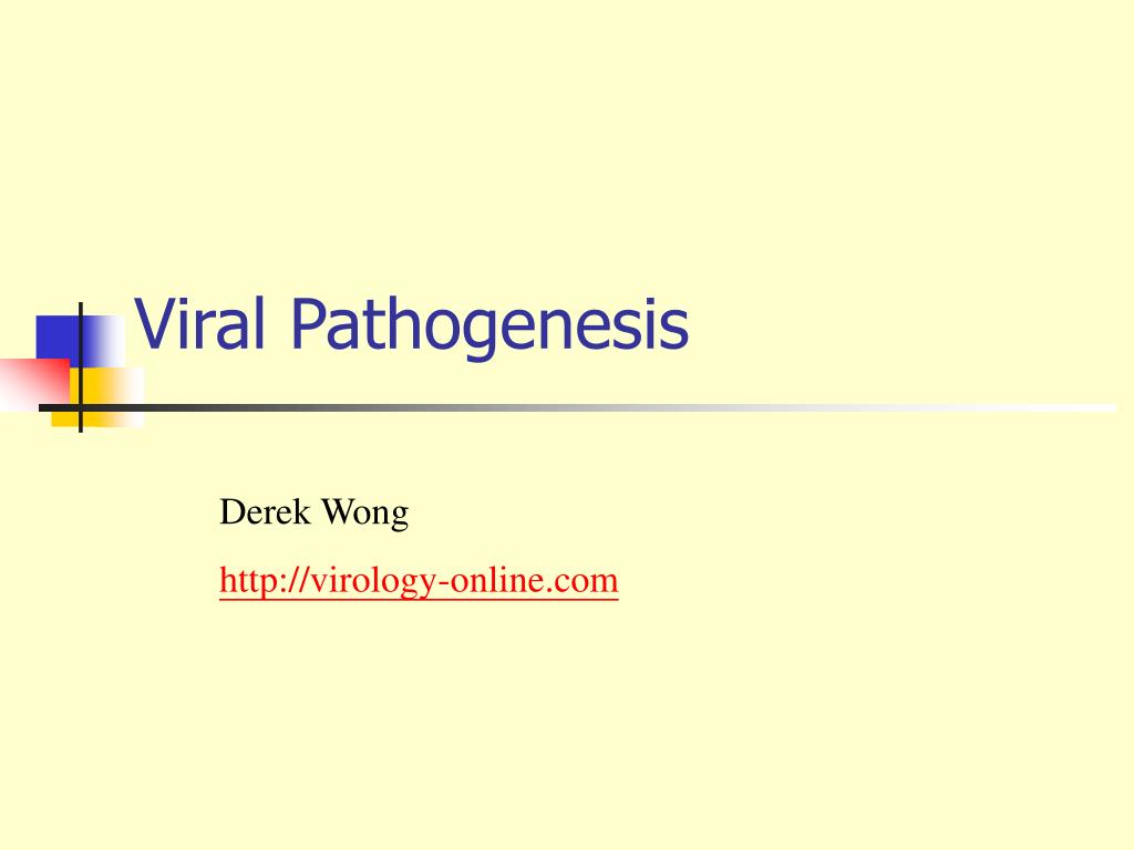 PPT - Viral Pathogenesis PowerPoint Presentation, free download - ID:219663