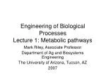 PPT - INTRODUCTION TO METABOLIC ENGINEERING Chapter 1 of textbook ...