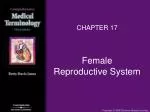 PPT - Female Reproductive System PowerPoint Presentation, free download ...