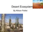 PPT - DESERT ECOSYSTEM PowerPoint Presentation, free download - ID:2084519