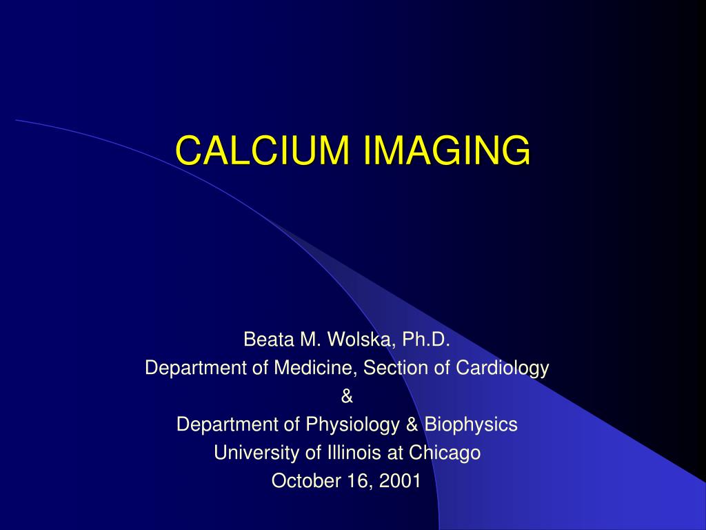 PPT - CALCIUM IMAGING PowerPoint Presentation, free download - ID:225051