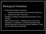 PPT - Silicon Oxidation PowerPoint Presentation, free download - ID:360374