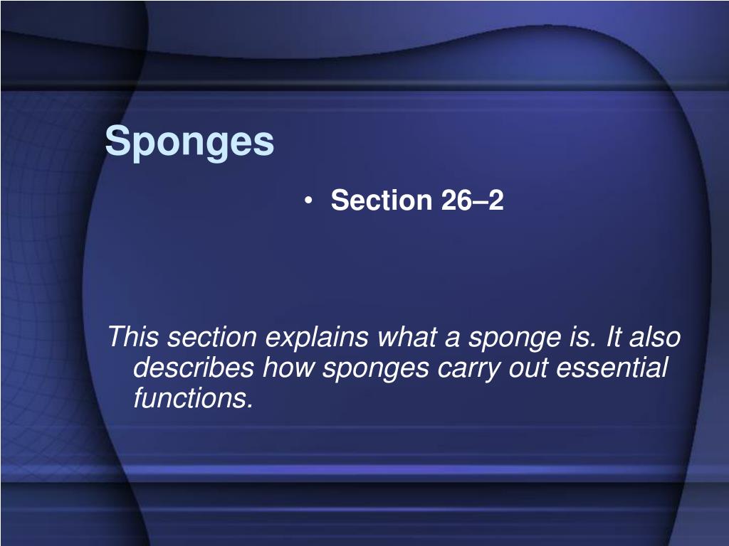 PPT - Sponges PowerPoint Presentation, free download - ID:226709