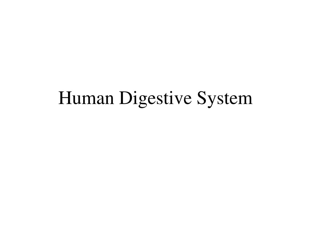 PPT - Human Digestive System PowerPoint Presentation, free download ...