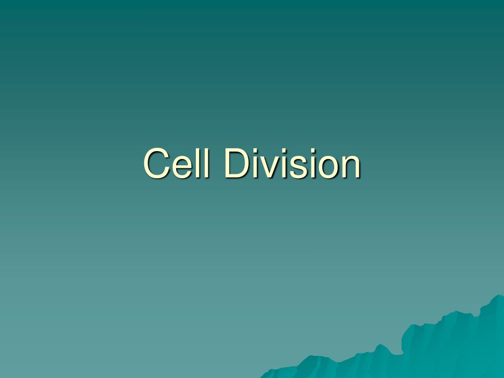 PPT - Cell Division PowerPoint Presentation, free download - ID:227666