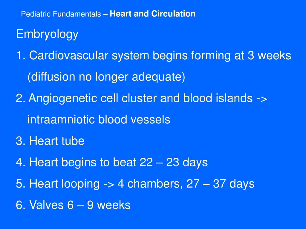 PPT - Pediatric Fundamentals – Heart and Circulation PowerPoint ...