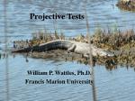 PPT - Projective Tests PowerPoint Presentation, free download - ID:2822196