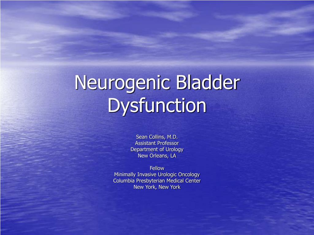 PPT - Neurogenic Bladder Dysfunction PowerPoint Presentation, free ...