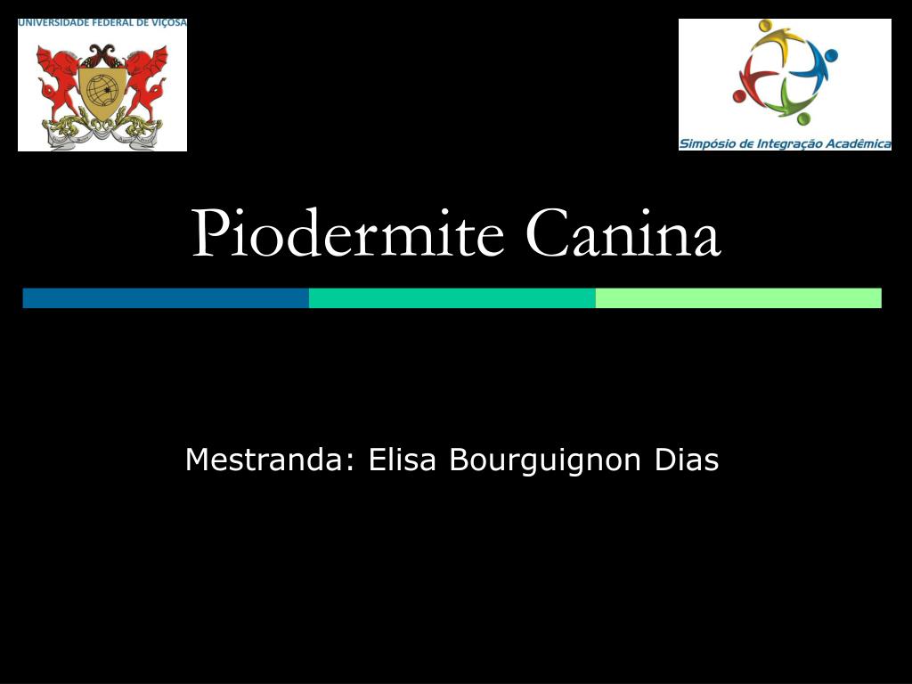 PPT - Piodermite Canina PowerPoint Presentation, free download - ID:229292