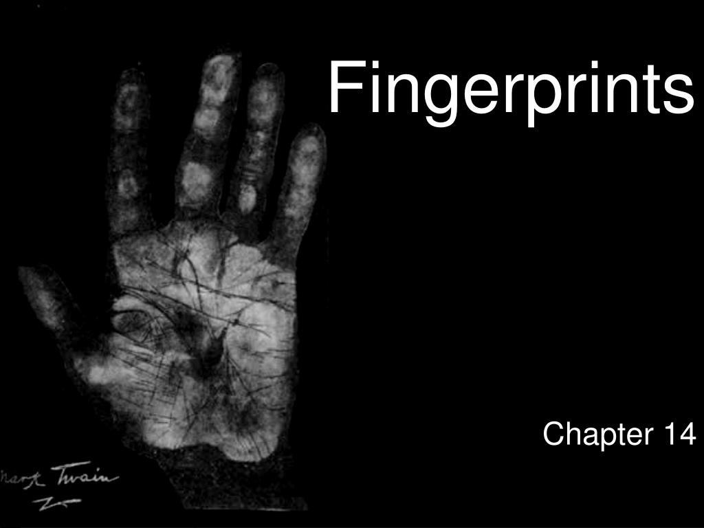 PPT - Fingerprints PowerPoint Presentation, free download - ID:232740
