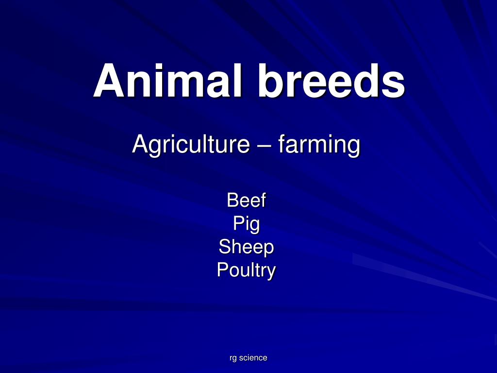 PPT - Animal breeds PowerPoint Presentation, free download - ID:233277