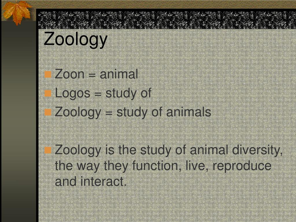 PPT - Zoology PowerPoint Presentation, free download - ID:23370
