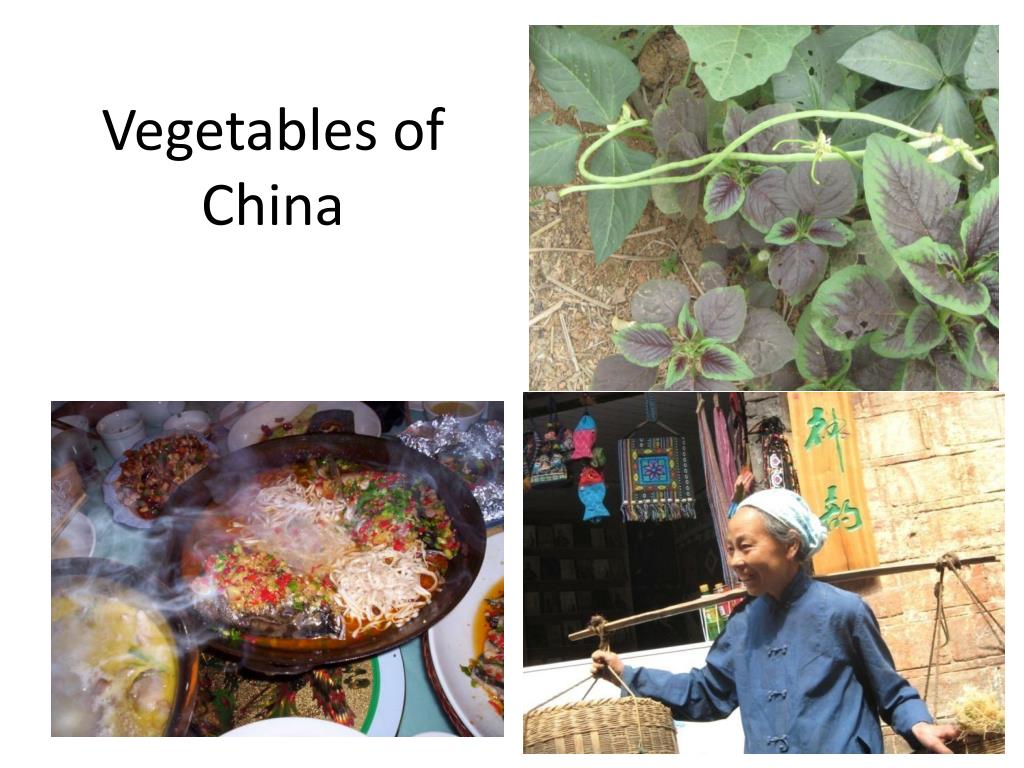 PPT - Vegetables of China PowerPoint Presentation, free download - ID ...