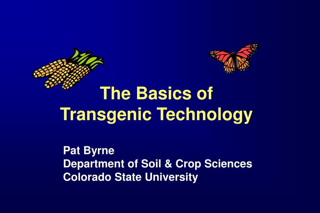 PPT - The Basics of Transgenic Technology PowerPoint Presentation, free ...