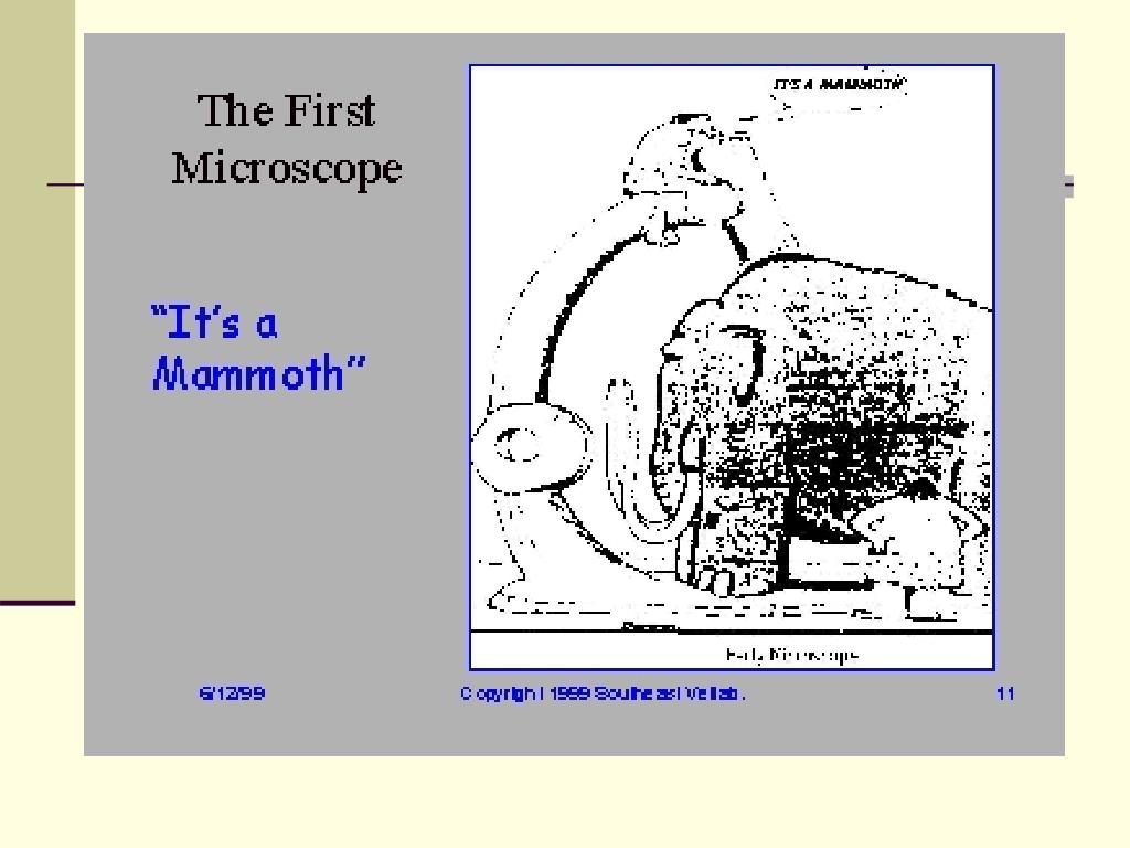 PPT - Microscopic Examination of Urine PowerPoint Presentation, free ...