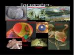 PPT - HappyTapp Works Everywhere PowerPoint Presentation, free download ...