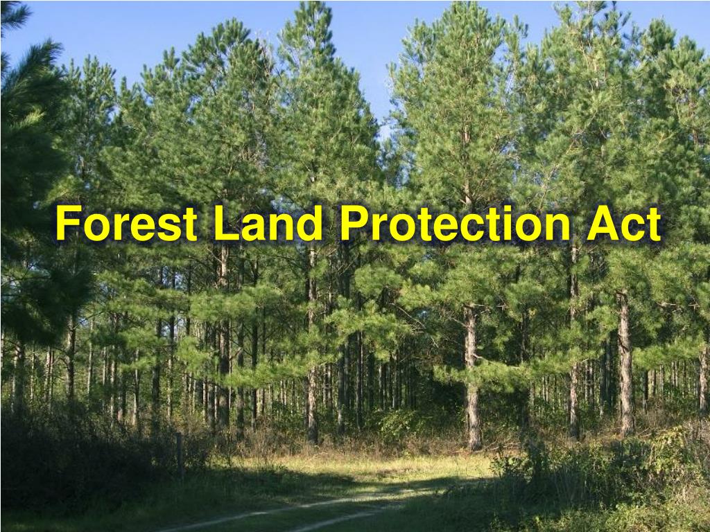 PPT - Forest Land Protection Act PowerPoint Presentation, free download ...
