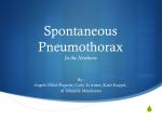 PPT - Pneumothorax PowerPoint Presentation, free download - ID:897842