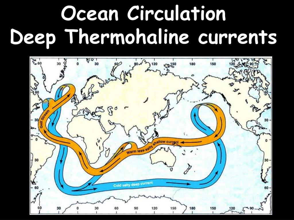 PPT - Ocean Circulation Deep Thermohaline currents PowerPoint ...