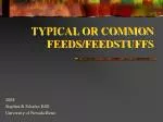 PPT - Feedstuffs Classification PowerPoint Presentation, free download ...