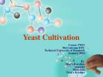 PPT - Growing Yeast Activity PowerPoint Presentation, free download ...