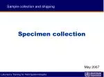 PPT - Specimen Collection PowerPoint Presentation, free download - ID ...