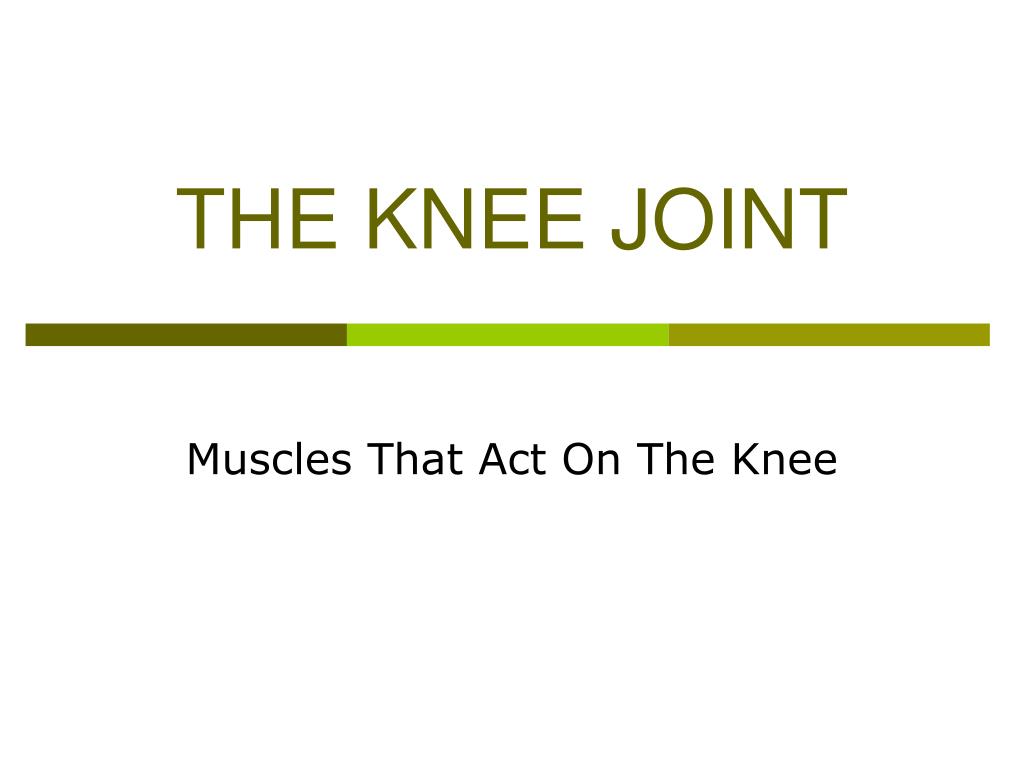 PPT - THE KNEE JOINT PowerPoint Presentation, free download - ID:242889
