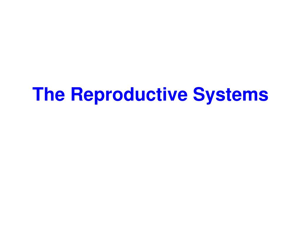 PPT - The Reproductive Systems PowerPoint Presentation, free download ...
