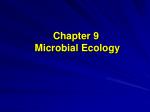 PPT - Chapter 54 – Community Ecology PowerPoint Presentation, free ...
