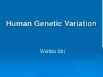 PPT - Genetic Variation PowerPoint Presentation, free download - ID:5544463