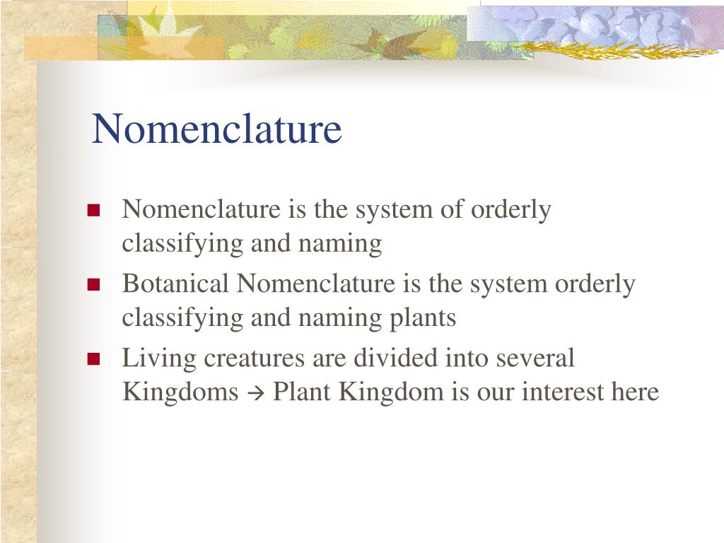 PPT - Nomenclature PowerPoint Presentation, free download - ID:244878
