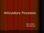 PPT - Articulatory phonetics PowerPoint Presentation, free download ...
