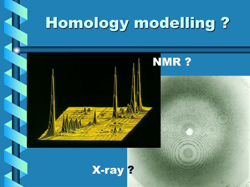 PPT - Homology modelling ? PowerPoint Presentation, free download - ID ...