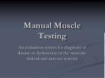 PPT - Muscle Strength Testing PowerPoint Presentation, free download ...