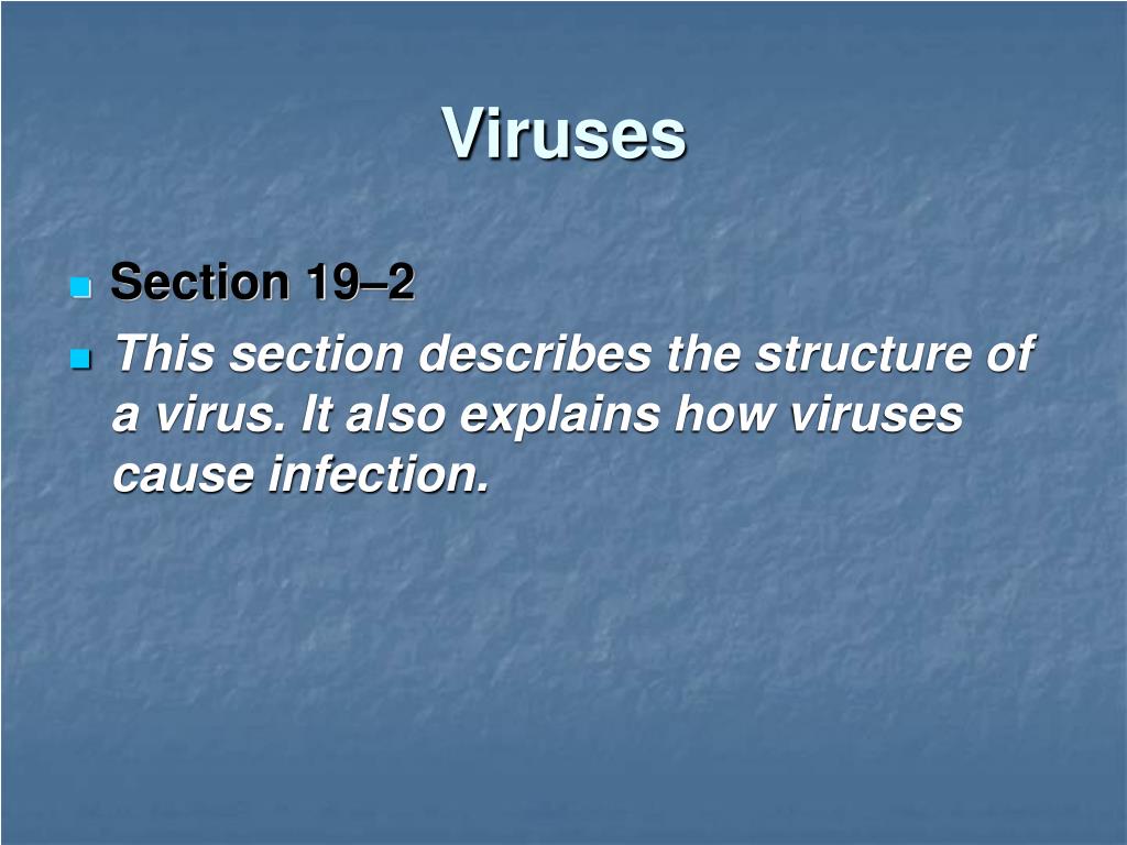 PPT - Viruses PowerPoint Presentation, free download - ID:246516