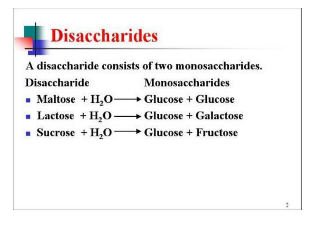 PPT - Disaccharides PowerPoint Presentation, free download - ID:247565