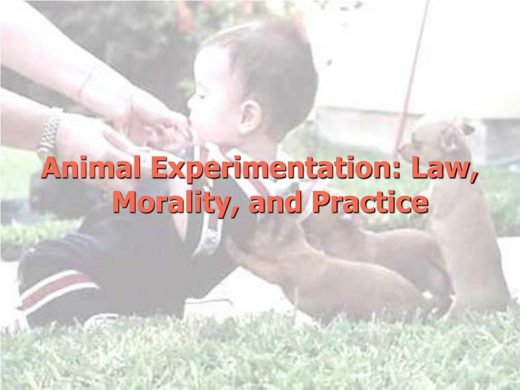 PPT - Animal Experimentation: Law, Morality, and Practice PowerPoint ...