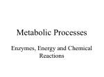 PPT - Metabolic Processes PowerPoint Presentation, free download - ID ...