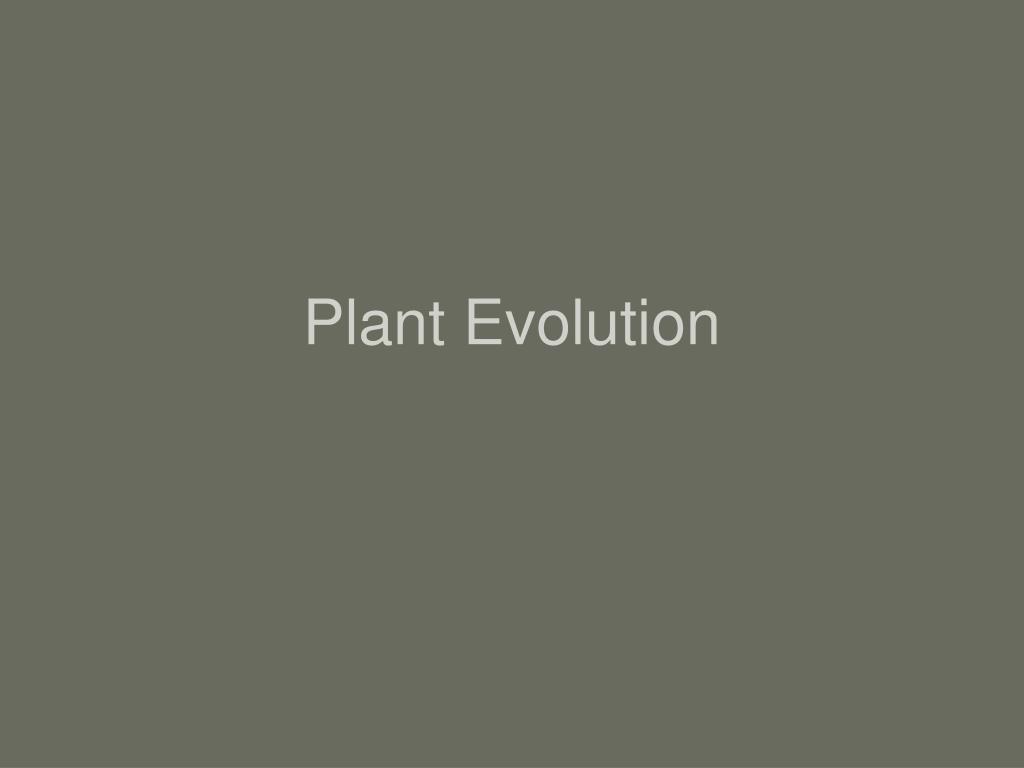 PPT - Plant Evolution PowerPoint Presentation, free download - ID:251151