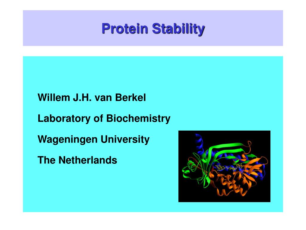 PPT - Protein Stability PowerPoint Presentation, free download - ID:251887