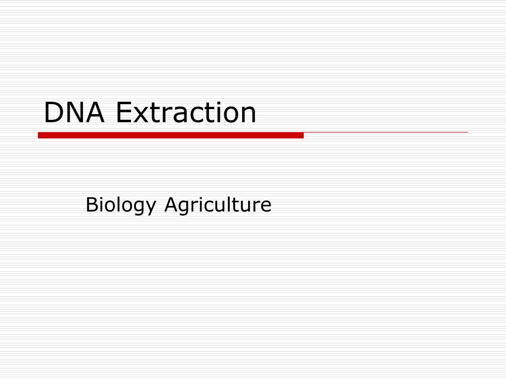 PPT - DNA Extraction PowerPoint Presentation, free download - ID:252374