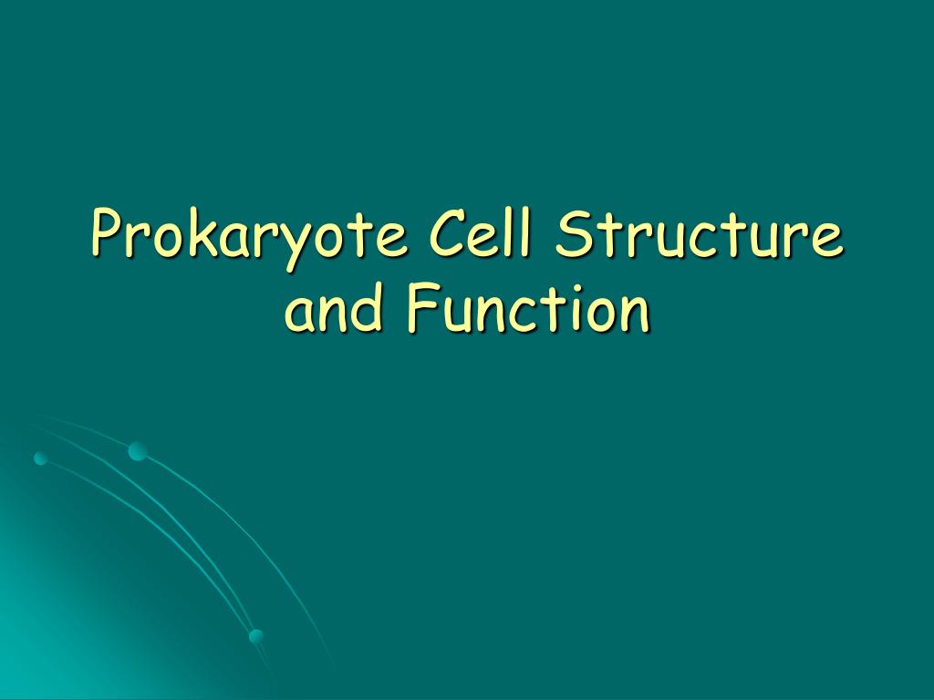 PPT - Prokaryote Cell Structure and Function PowerPoint Presentation, free download - ID:254583
