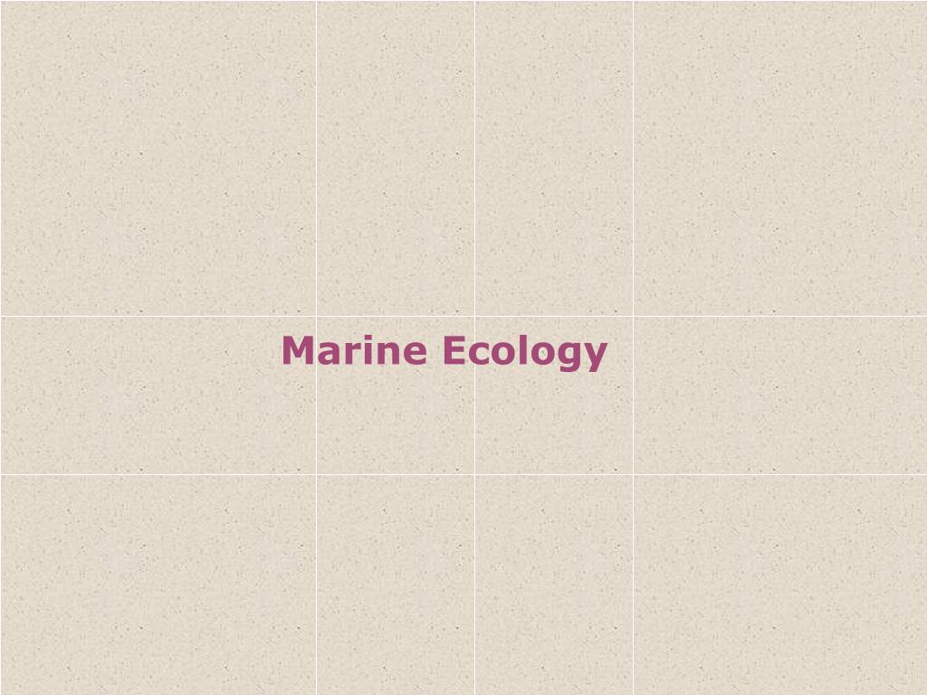 PPT - Marine Ecology PowerPoint Presentation, free download - ID:255885