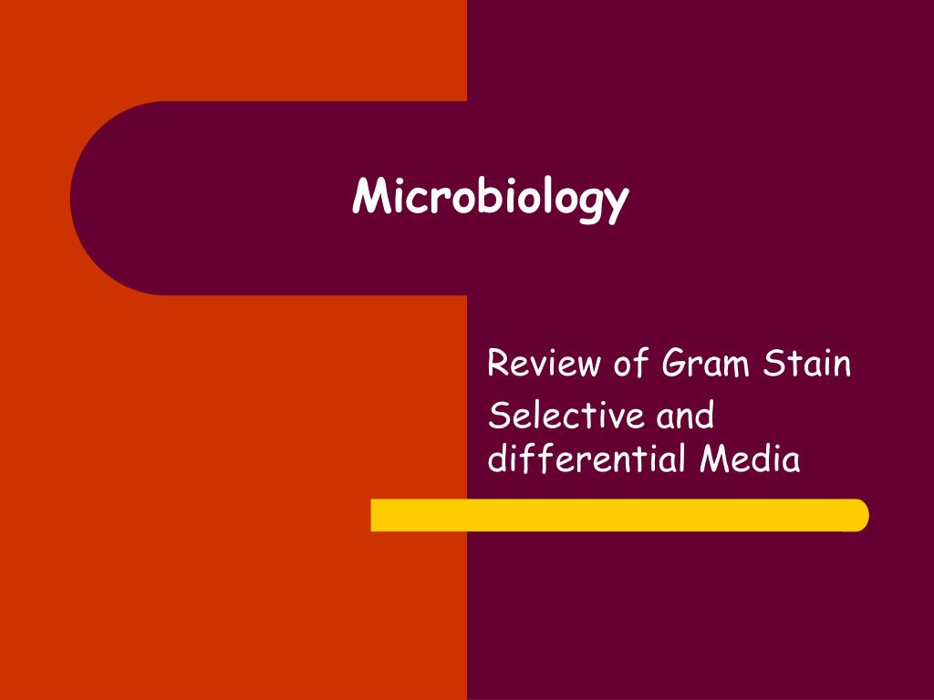 PPT - Microbiology PowerPoint Presentation, free download - ID:257379