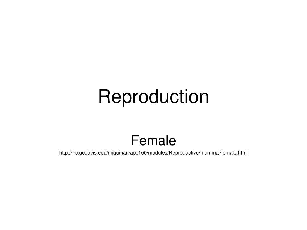 PPT - Reproduction PowerPoint Presentation, free download - ID:257851