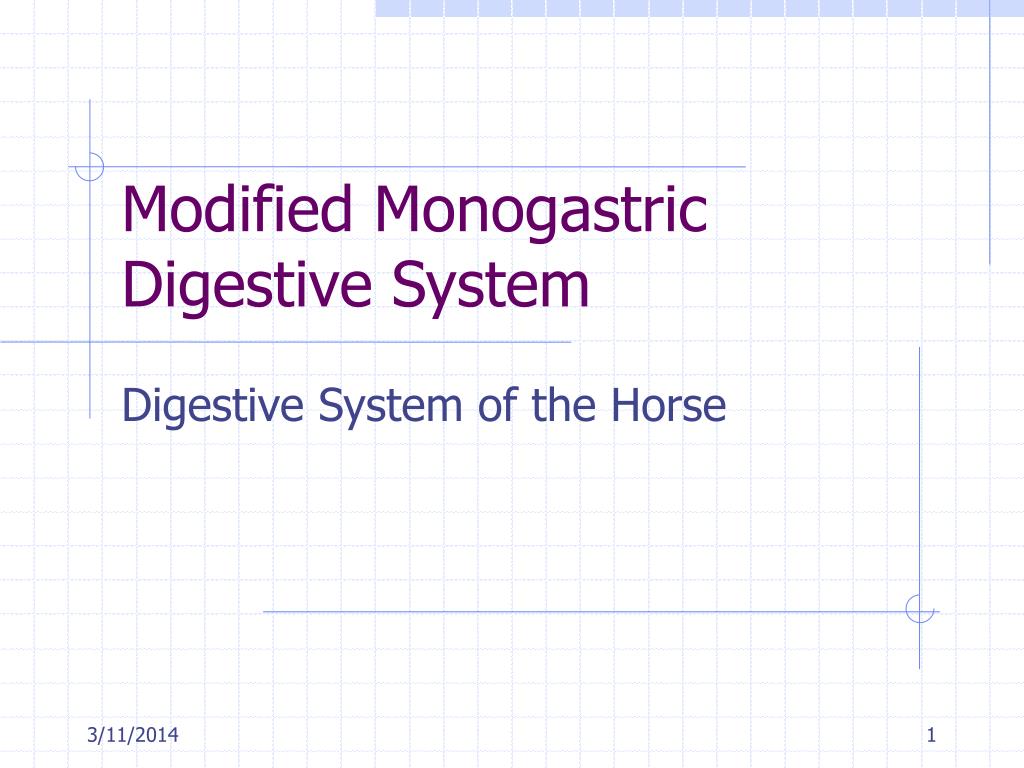 PPT - Modified Monogastric Digestive System PowerPoint Presentation ...